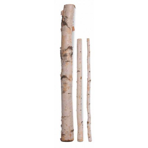 12020 (23750) - Birch Poles 4Ft X 1"-2" — Designer Flower Center LLC