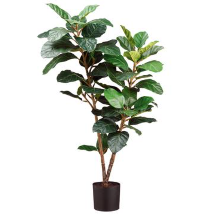 LPF114-GR (29110) - King Ficus Plant In Pot 46" — Designer Flower ...